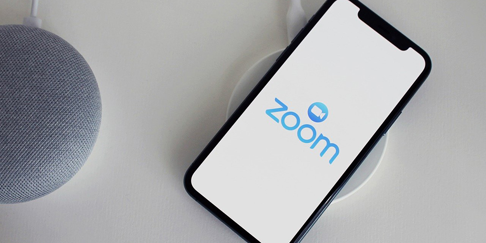 Advantages And Disadvantages Of Zoom Profolus