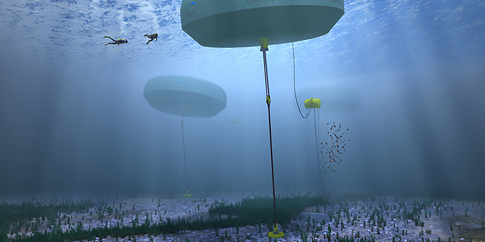 CETO Wave Tech: Clean Electricity and Water Desalination Using Ocean ...