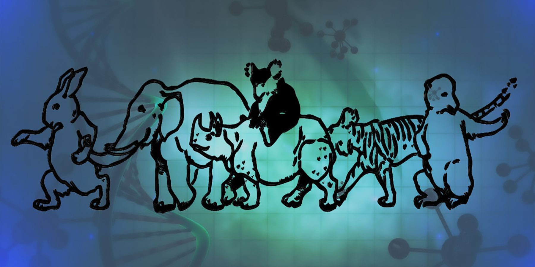 Evolution to Multicellular Animal Life Due to Single Mutation - Profolus