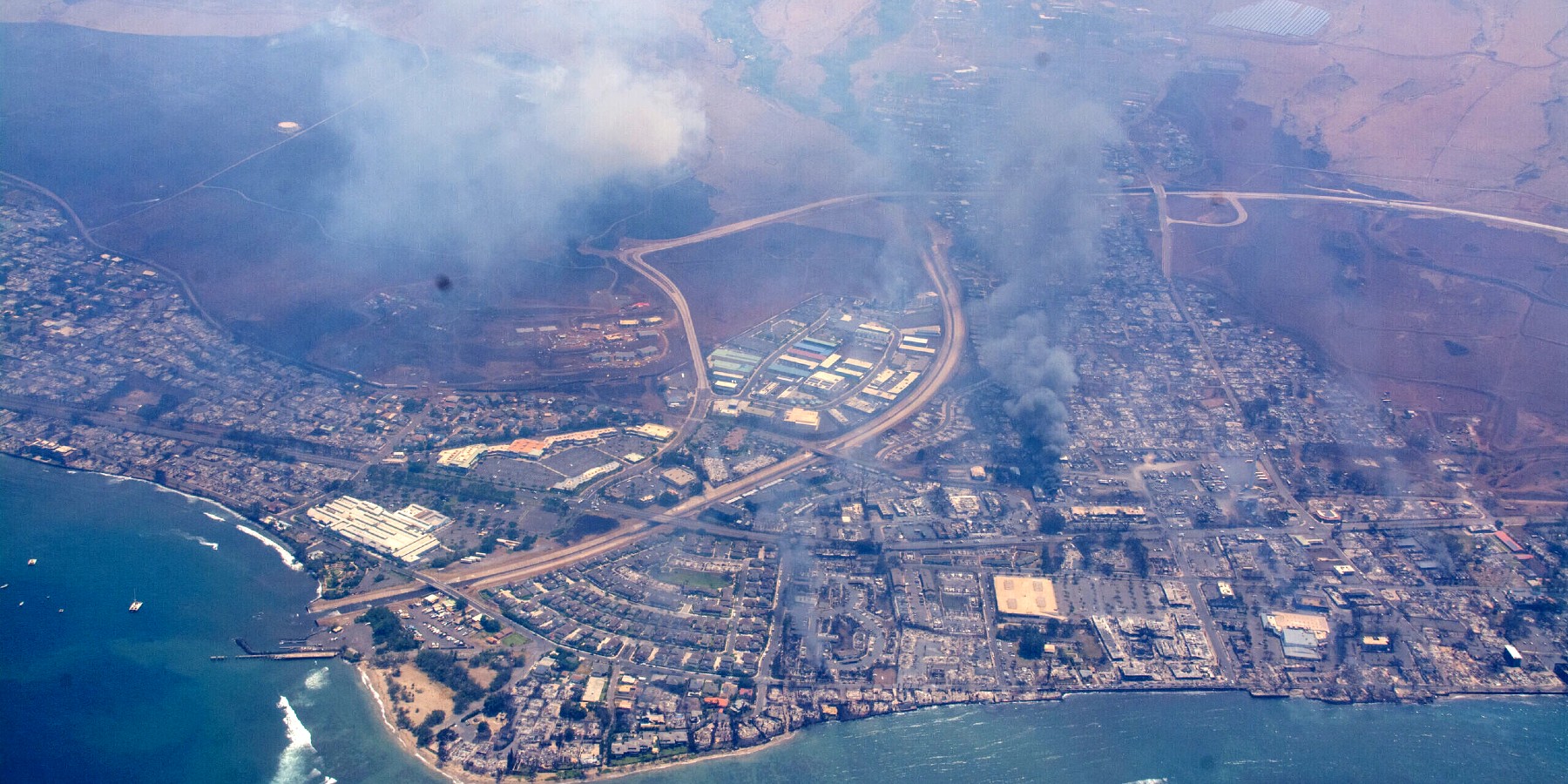 2023 Hawaii Wildfires: What Caused the Maui Wildfires? - Profolus