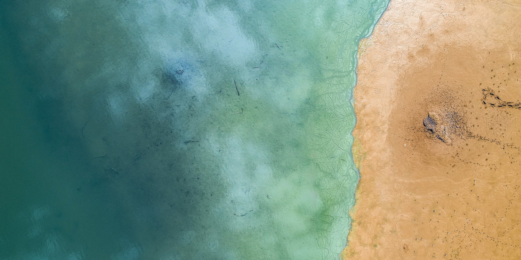 The Great Oxidation Event: Causes and Effects - Profolus