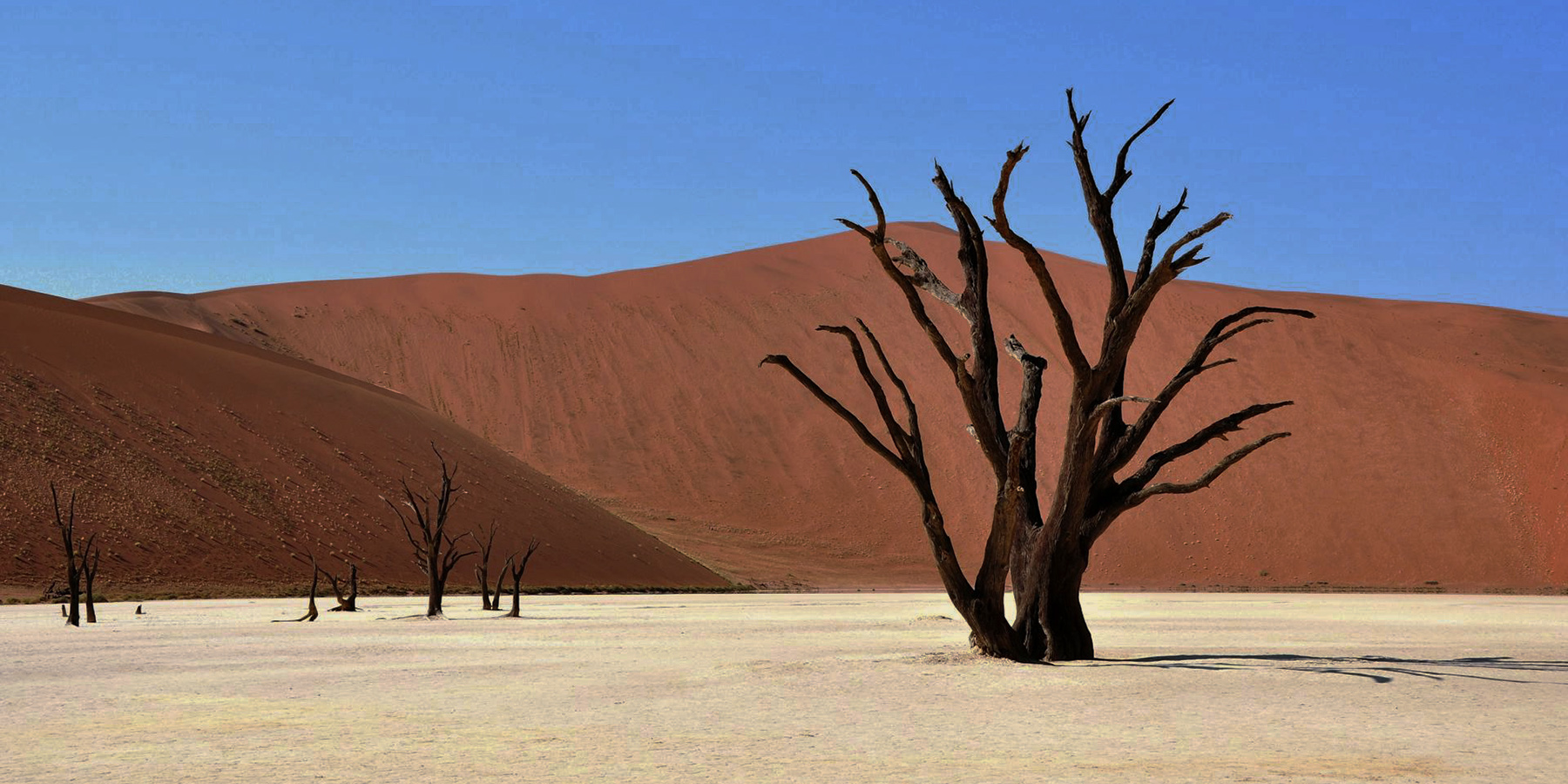 Who are ISIS-K: Islamic State – Khorasan Province Explainer - Profolus