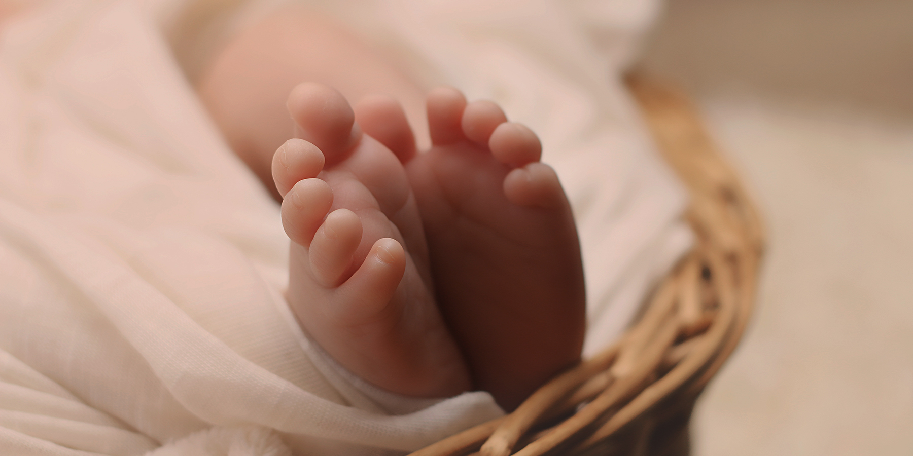 U.S. Birthright Citizenship: Origin and Purpose - Profolus