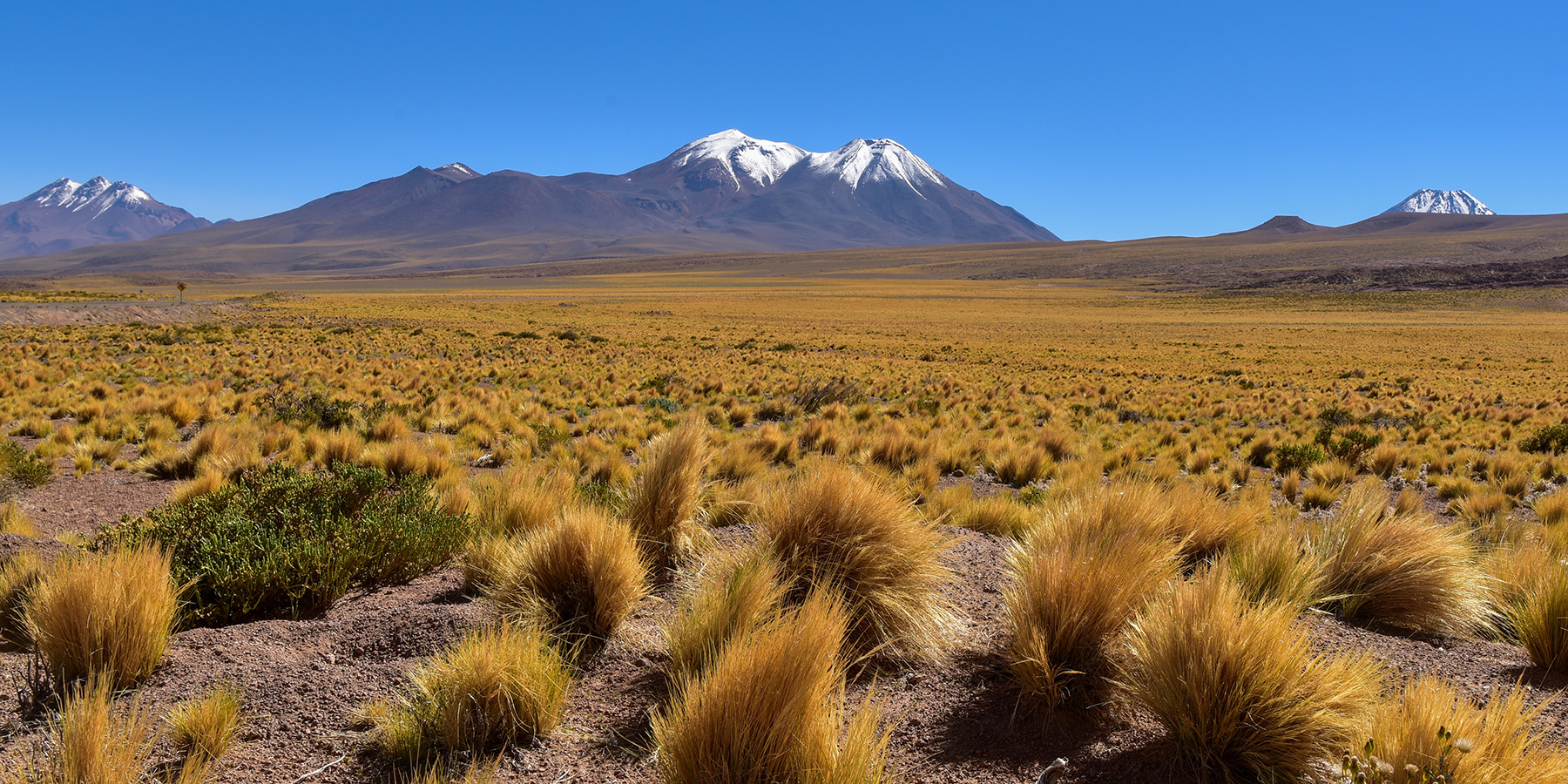 Andes Glaciers Are Losing Their Ability To Protect Chile From Future ...