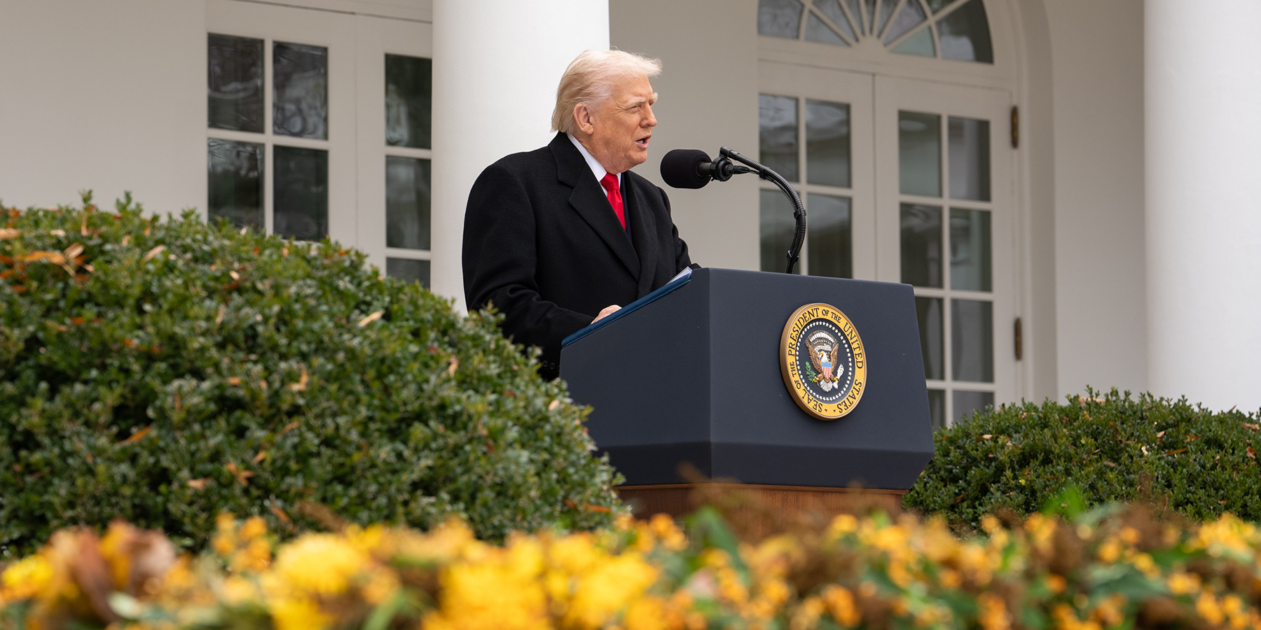 Latest 2025 Polls Indicate Further Declining Trump Popularity - Profolus