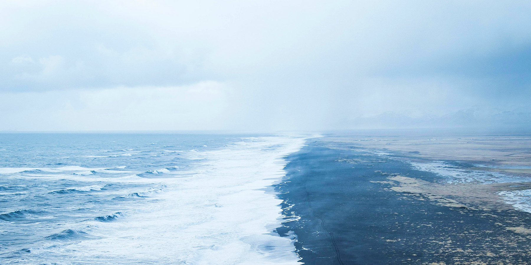 Carbon Removal Proposal: Cutting Boreal Trees to Sink Them in the Arctic Ocean - Profolus