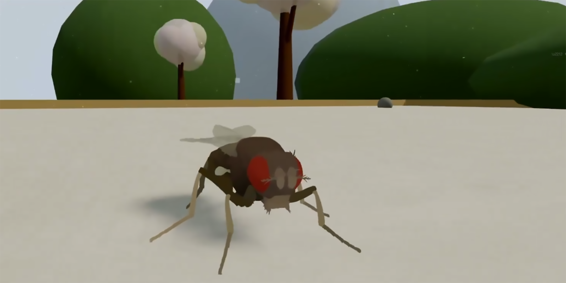 Scientists Copied the Brain of a Fruit Fly and Put It Inside a Computer ...